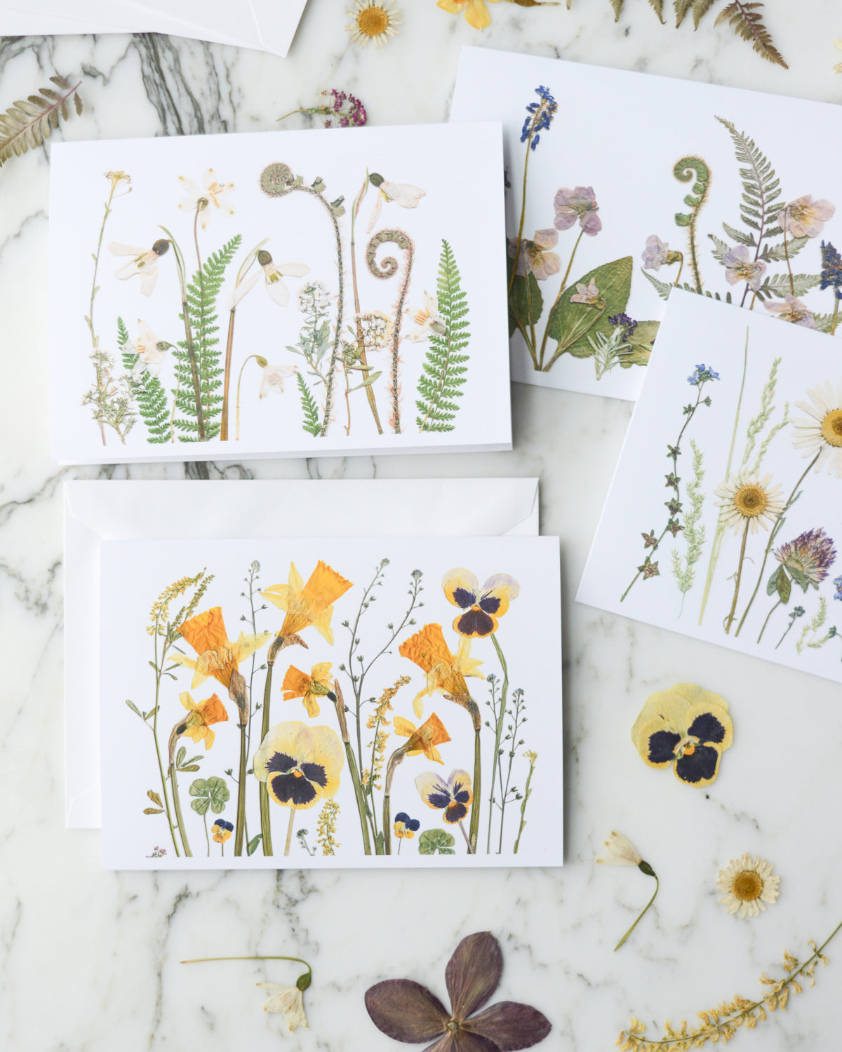 Botanical Greeting Cards – kmpressed